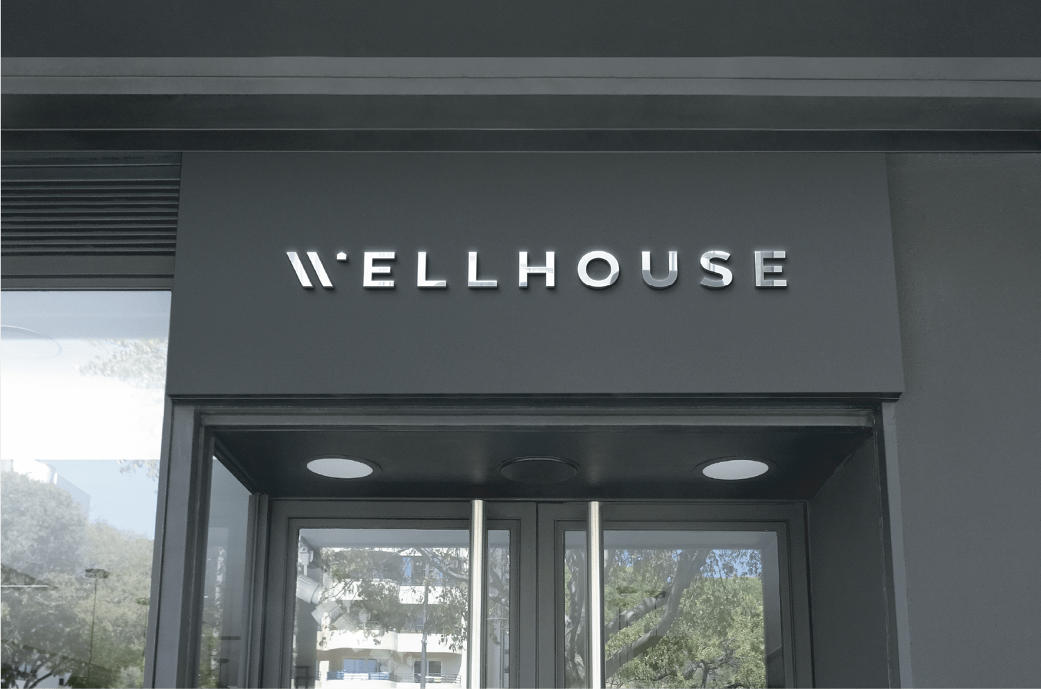 Brand Design for Wellhouse Collective: Crafting a Bold but Feminine ...