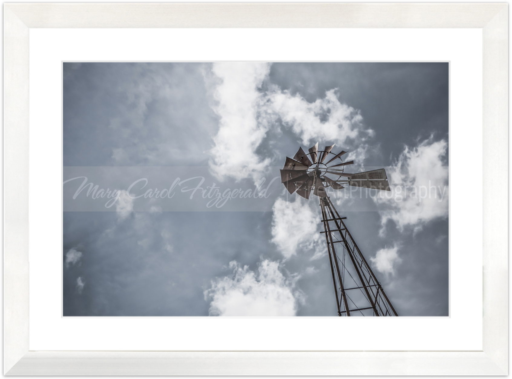 Captivating Farm Photography — Mary Carol Fitzgerald | Personal ...