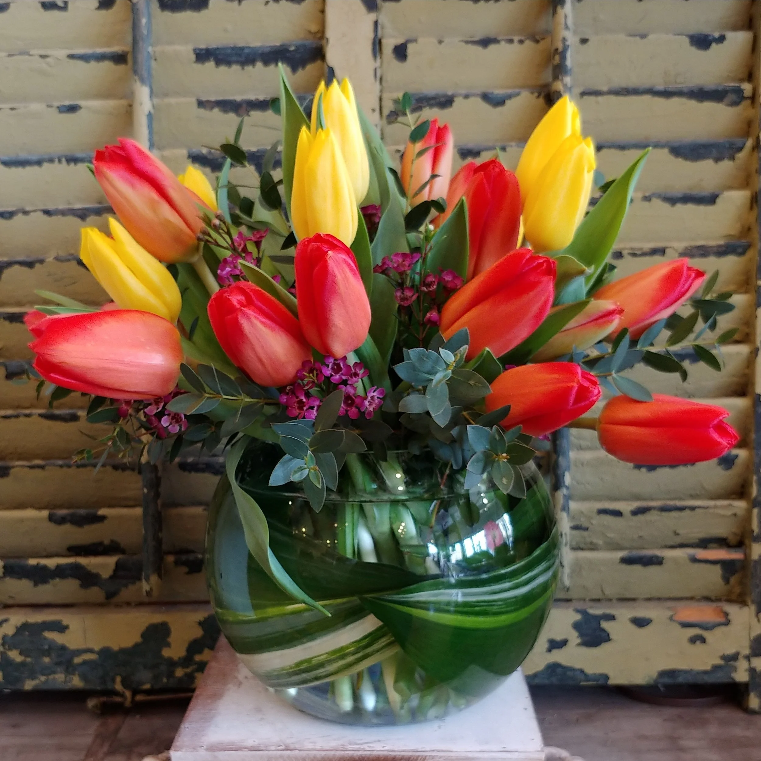 The DANCING TULIP