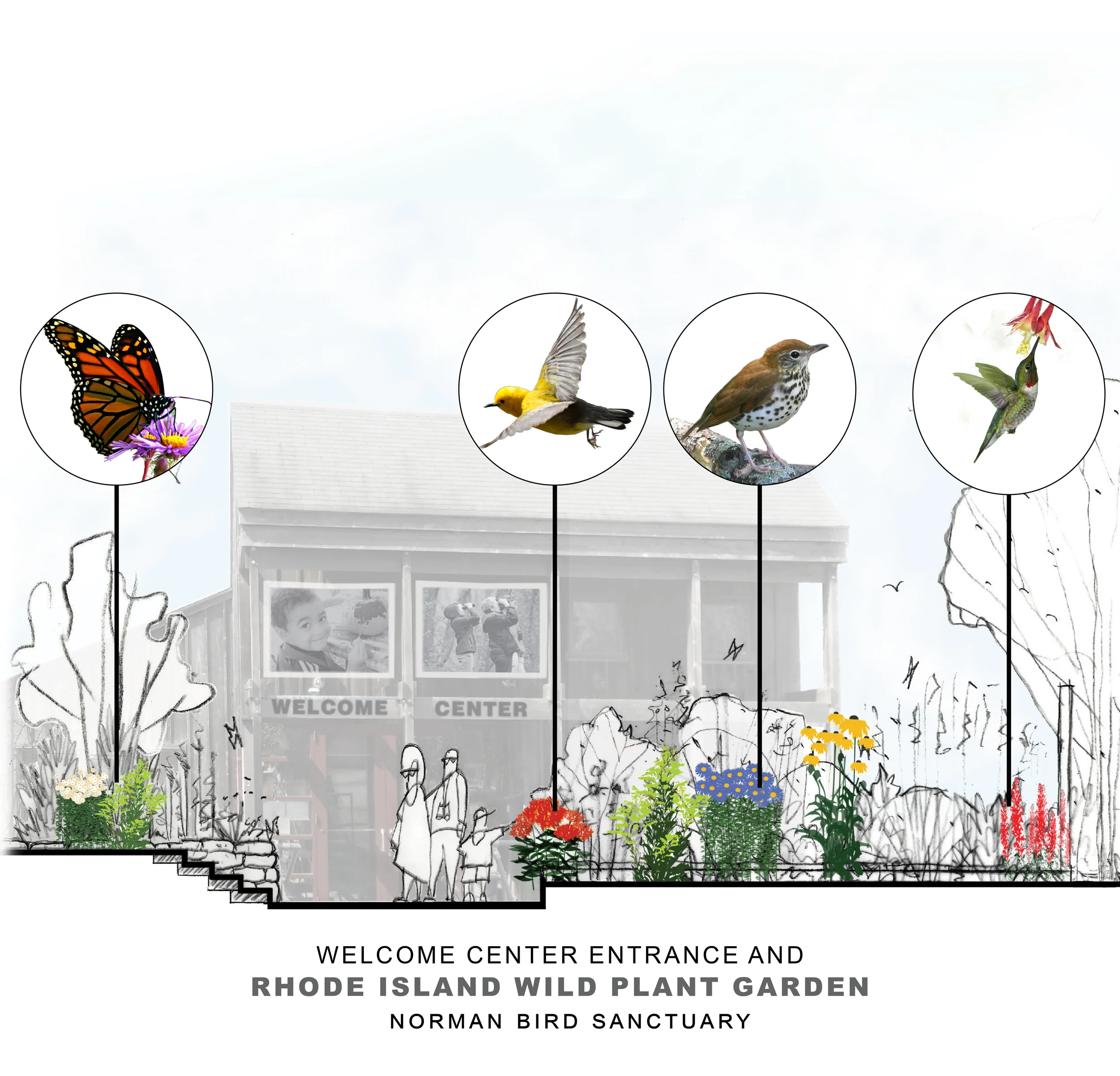 Bird Sanctuary Design