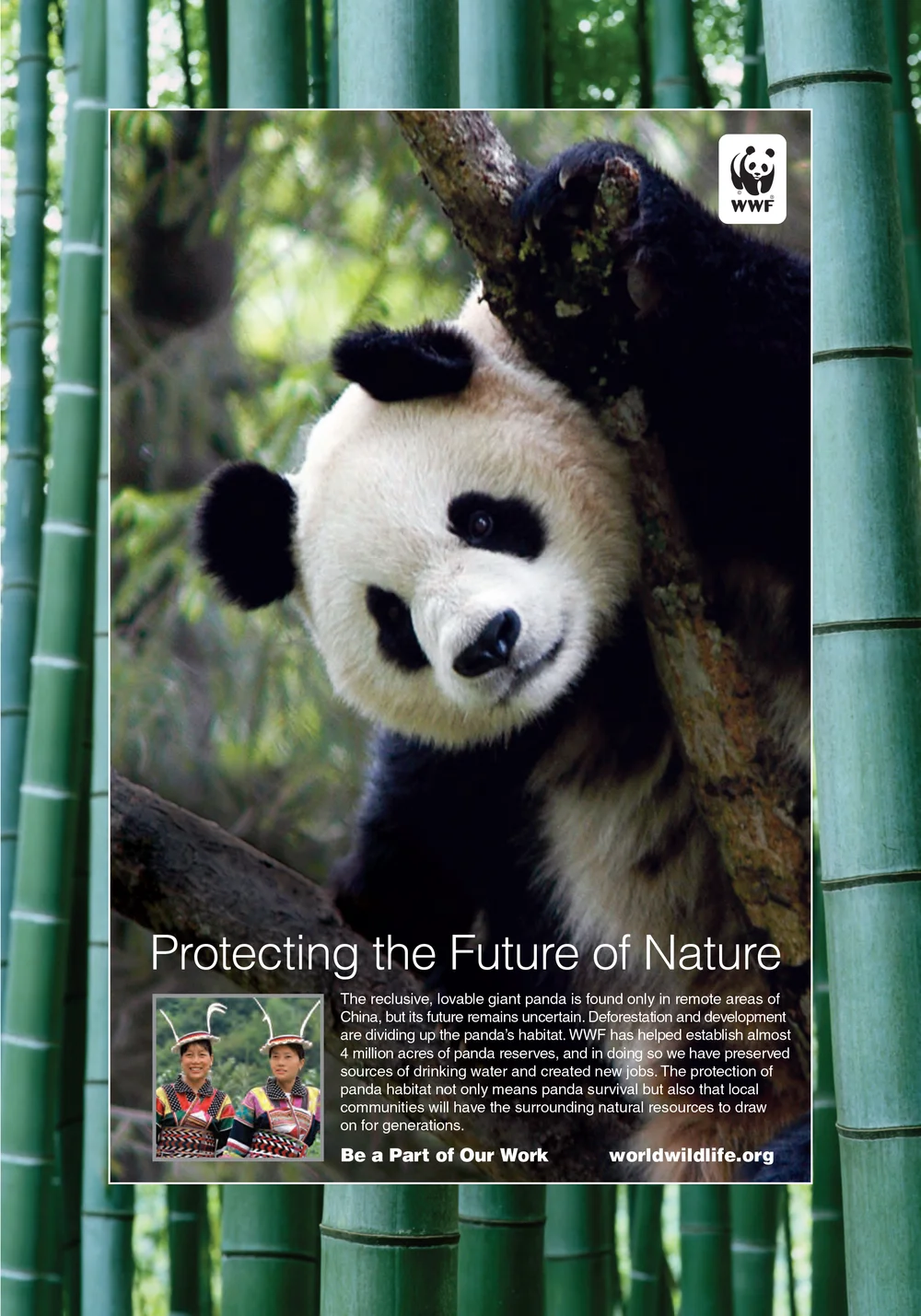 World Wildlife Fund Posters