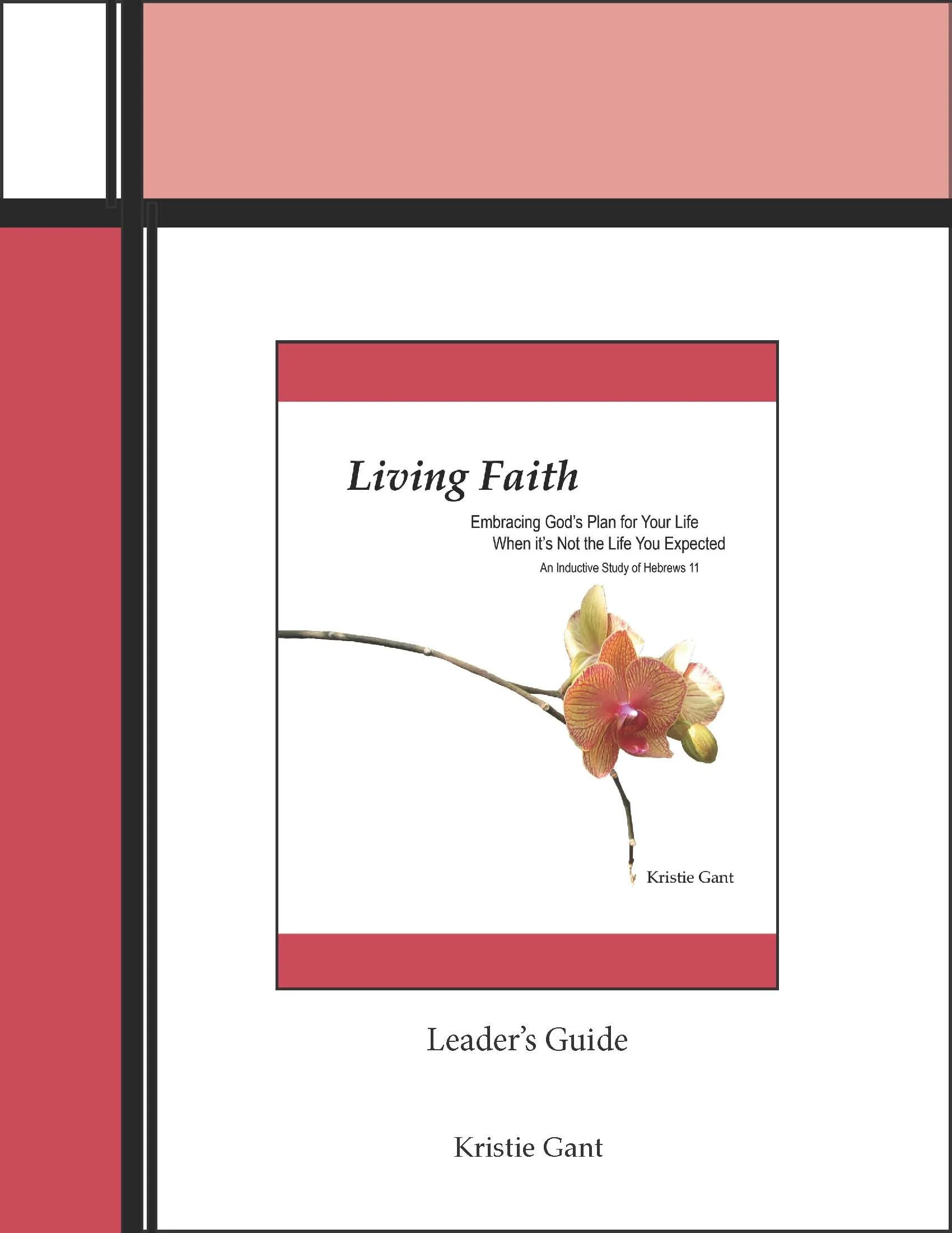 Study books and Leader Guides — In Praise of God Ministries