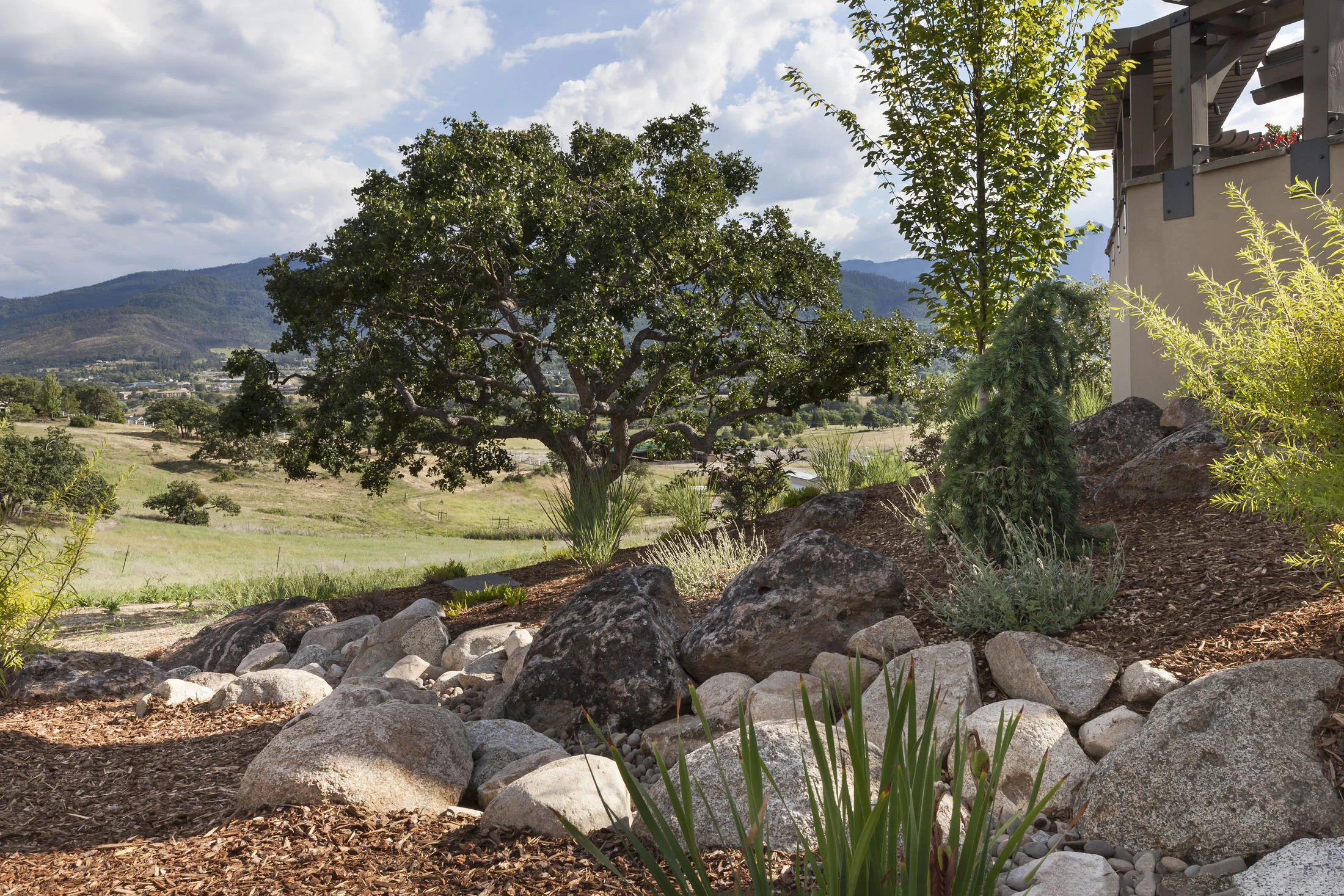 Pompadour — Solid Ground Landscape | Ashland, Oregon