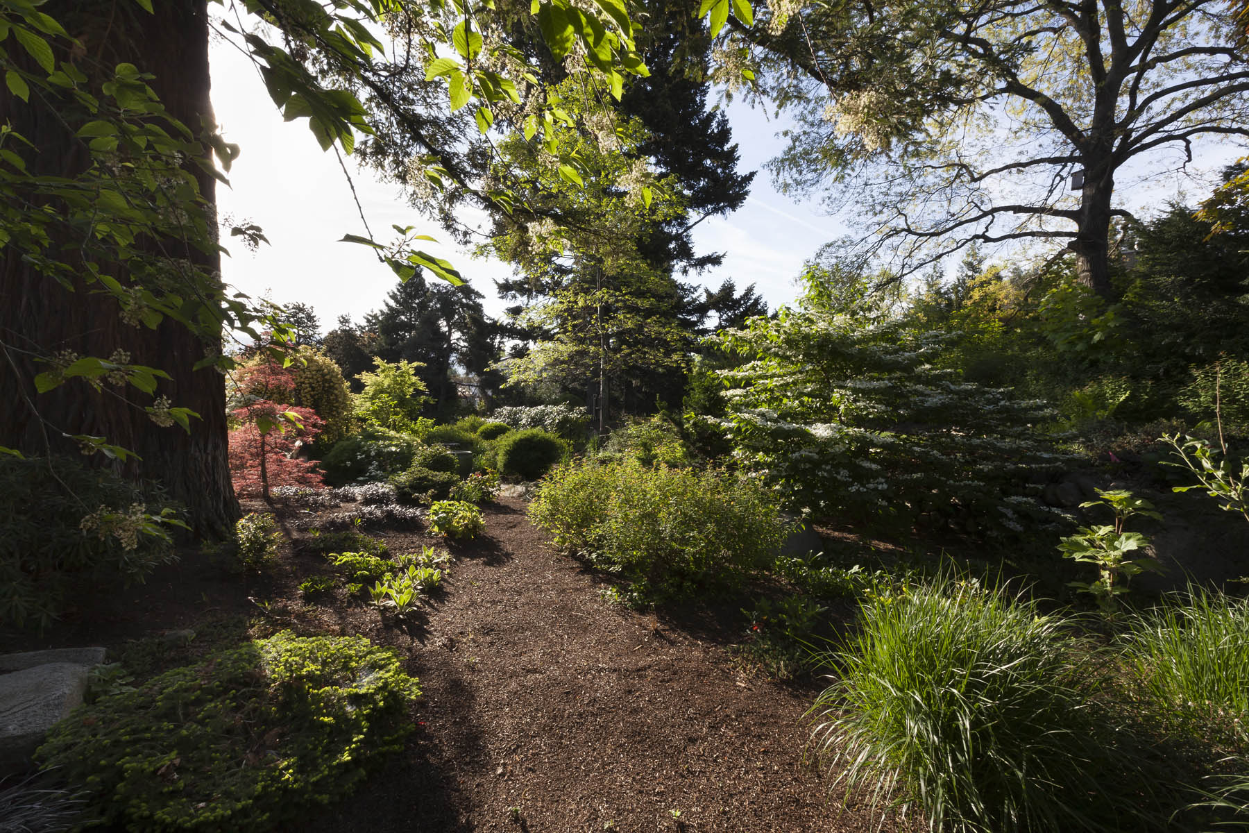 Wimer — Solid Ground Landscape | Ashland, Oregon