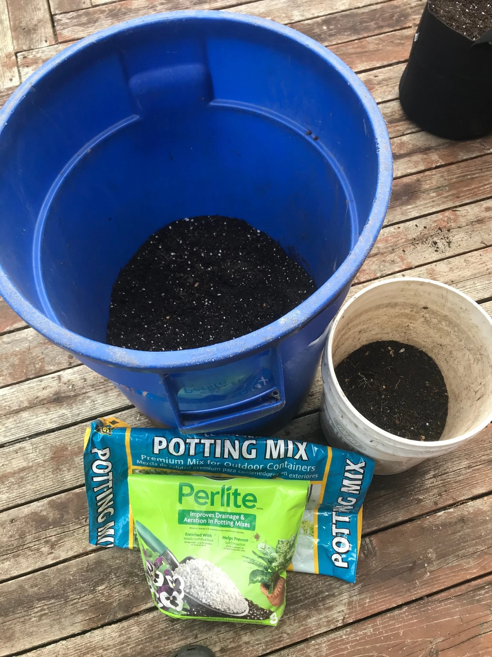 Get Started: Container Gardening — Urban Harvest STL