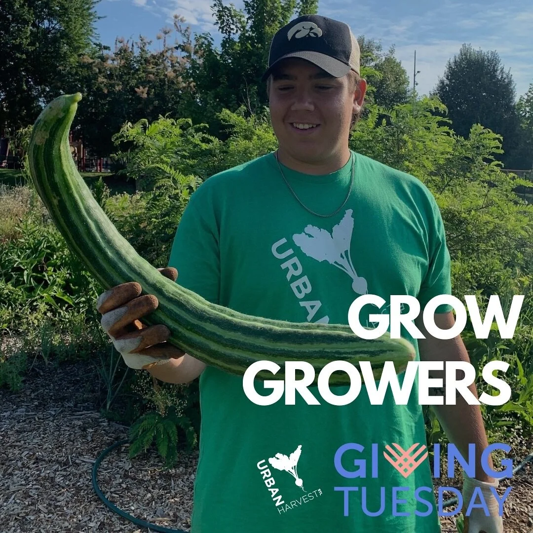 Beginner’s Guide to Reading a Fertilizer Label — Urban Harvest STL