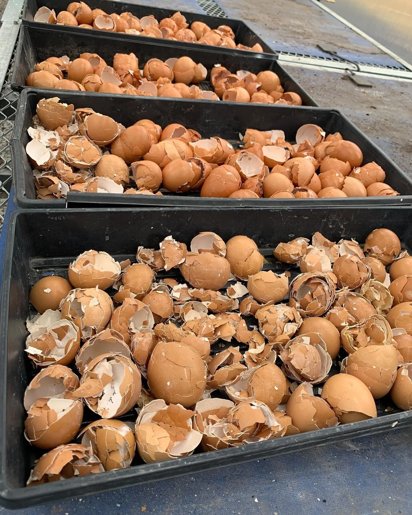 Board of Directors — Urban Harvest STL