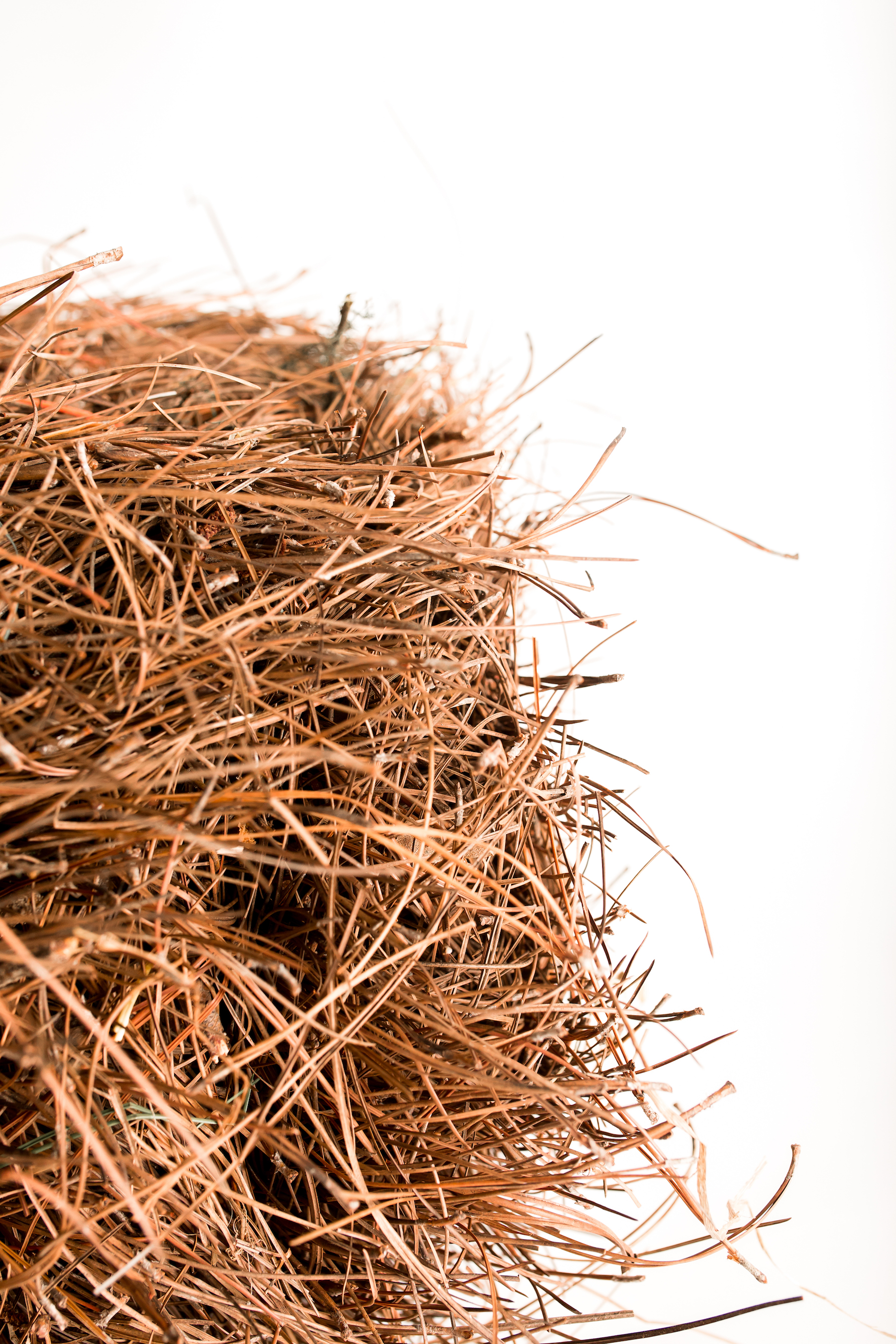 OUR PRODUCTS — SWIFT STRAW