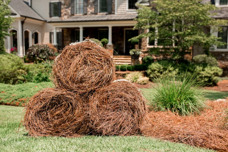 ROLLS/BALES — SWIFT STRAW