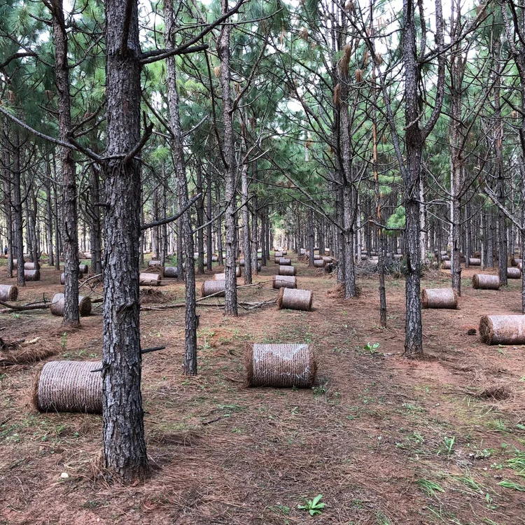 OUR STORY — SWIFT STRAW