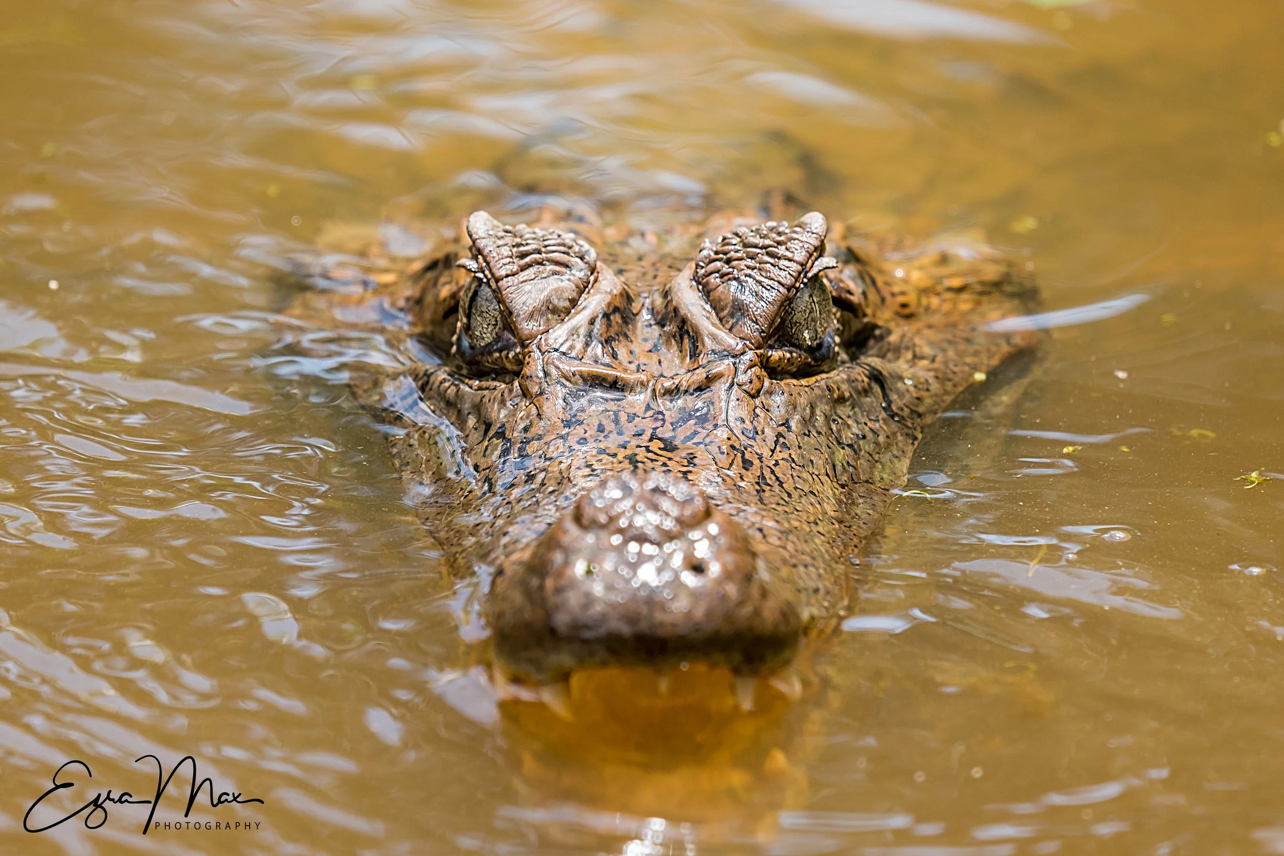 Ezra Max Photography