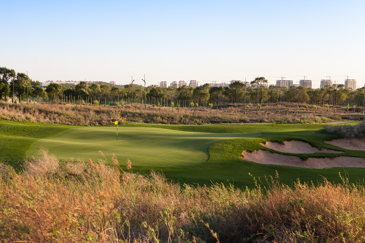 Design / Build — Farrow Golf Design