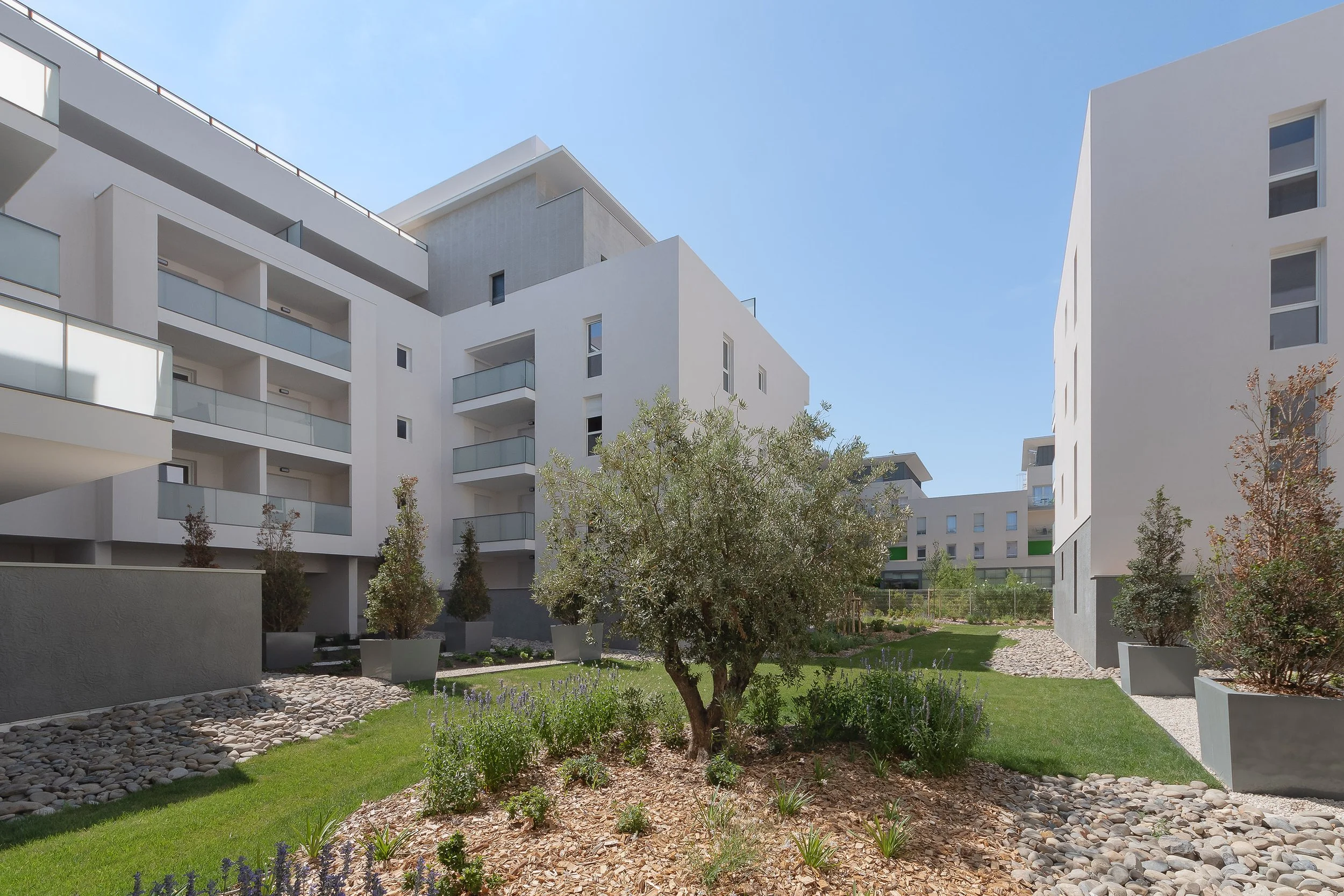 ARCHITECTURE: CARRÉ PALASCIO à Nîmes — Clément COUSIN