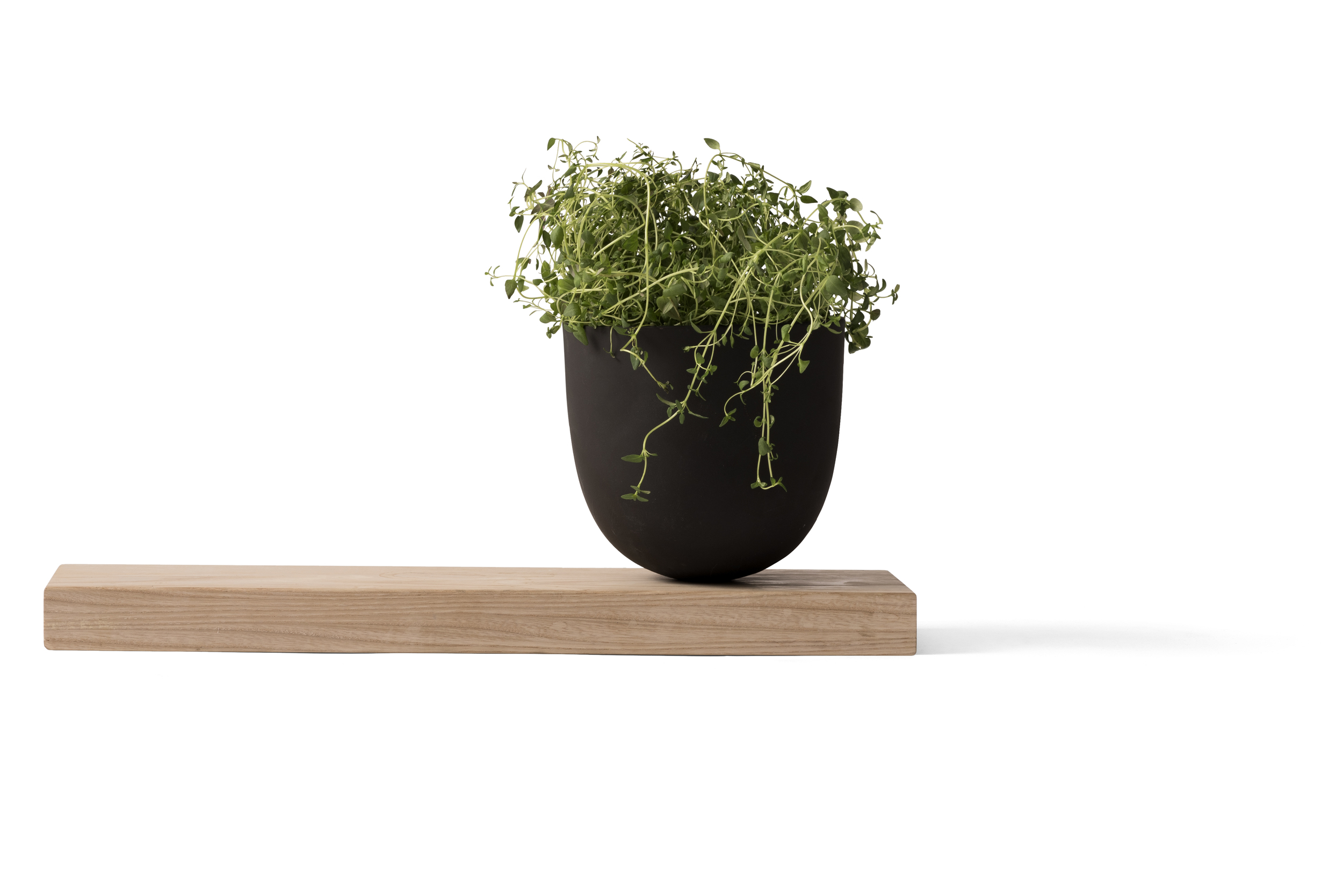 Grow — Hallgeir Homstvedt Design