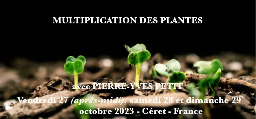 Formation en Multiplication des Plantes - Multiplier ses plantes ...