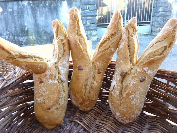 Formation faire du pain au levain et concevoir son fournil-permaterra