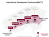 Intercultural Development Inventory (IDI) — Interculturalist, LLC