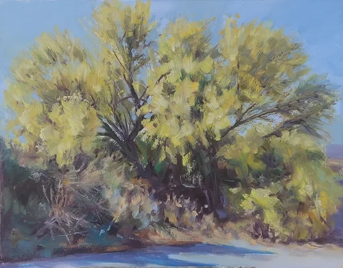 Michele Corsini Studios