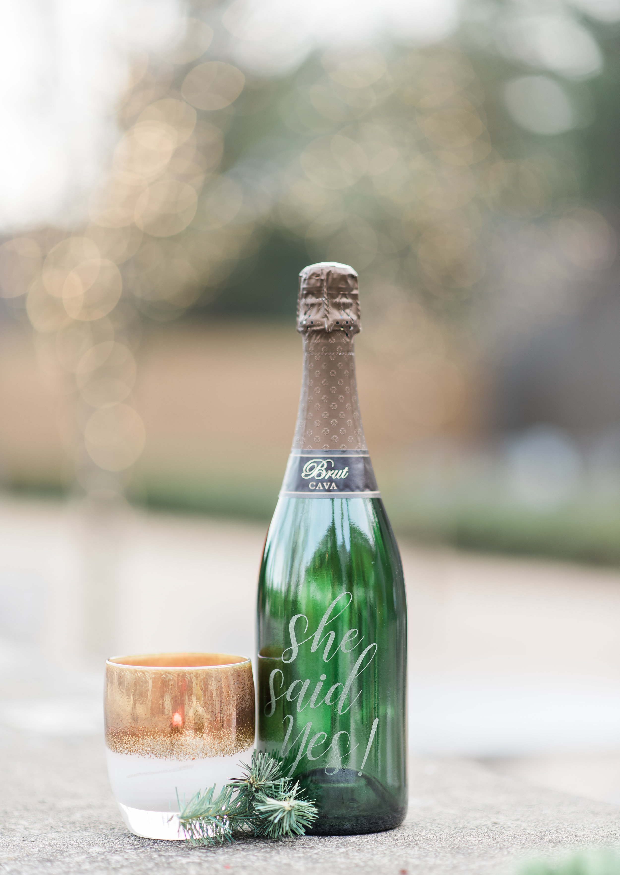Nudge! I'm ready for you to propose. | B. Jones Photography