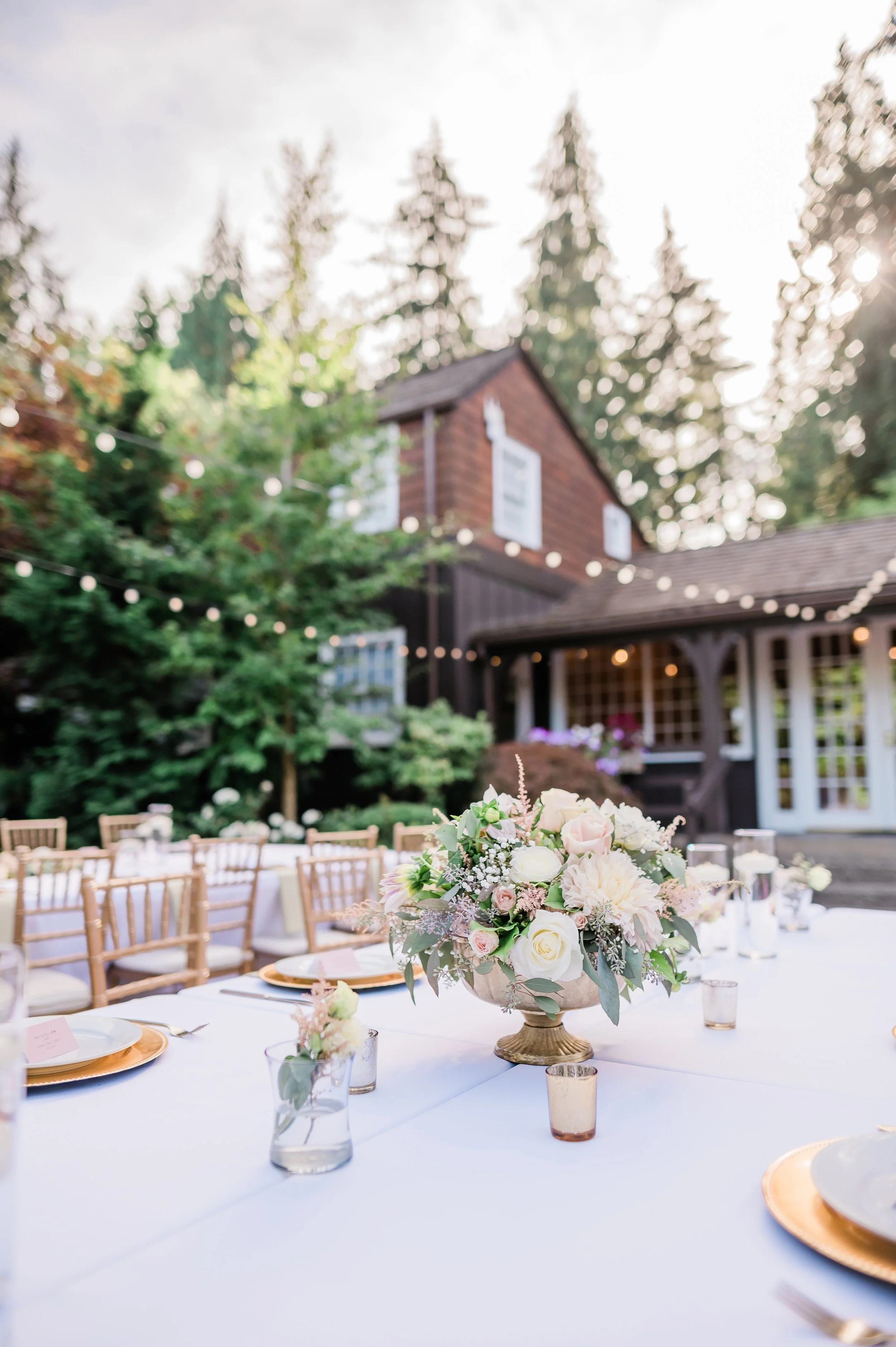 Venue Guide: Robinswood House in Bellevue