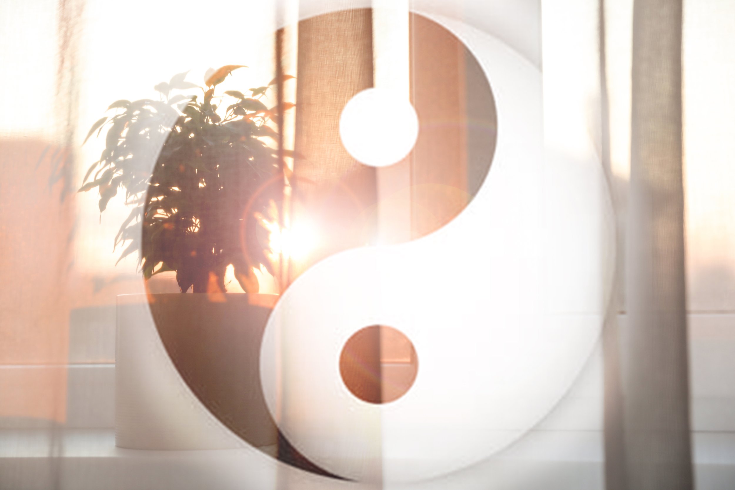 The Transformative Power of Feng Shui Principles — Ready2Heal