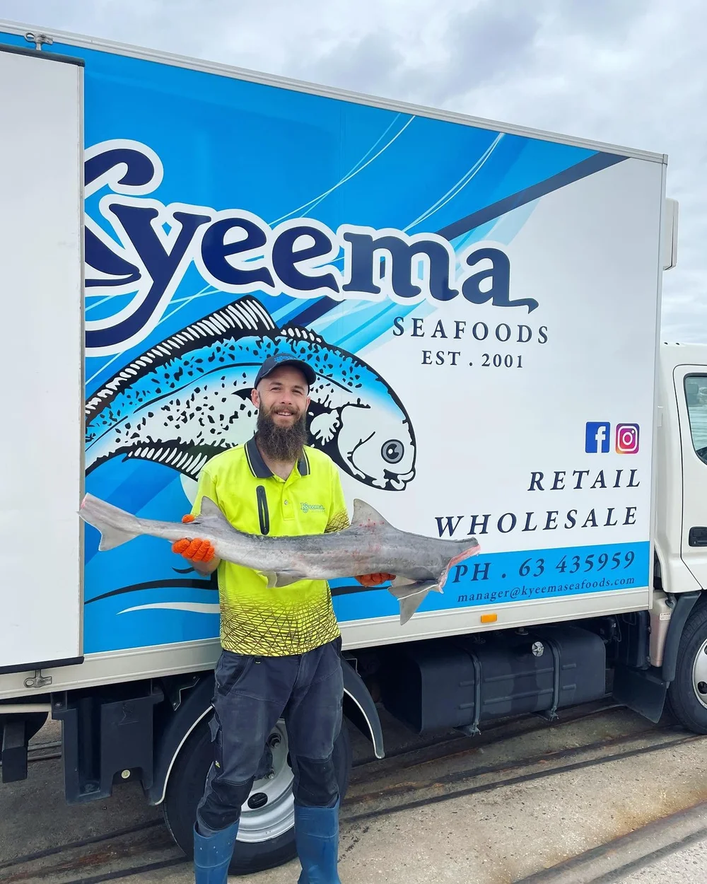 Gummy Flake — Kyeema Seafoods