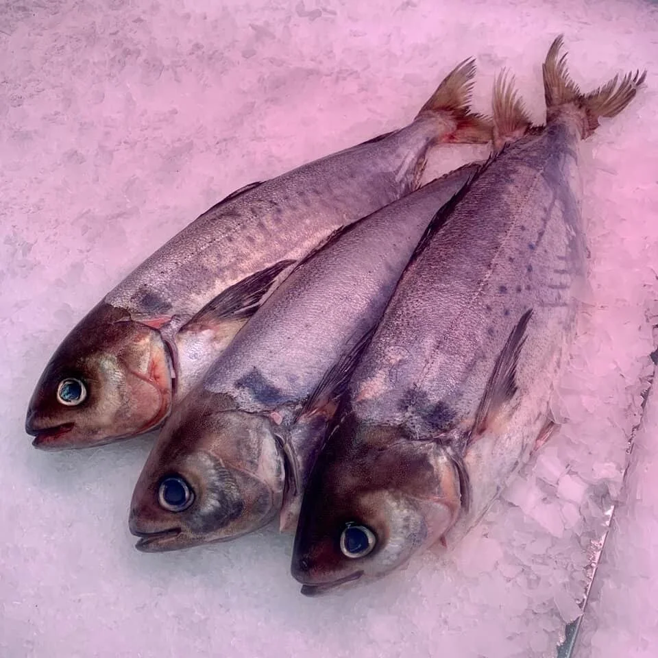 Scale Fish — Kyeema Seafoods