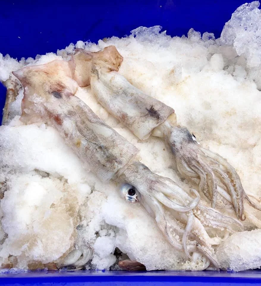 Shell Fish — Kyeema Seafoods