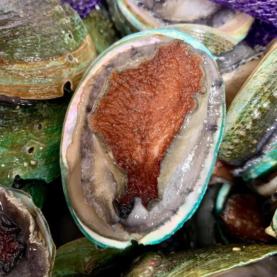 Shell Fish — Kyeema Seafoods