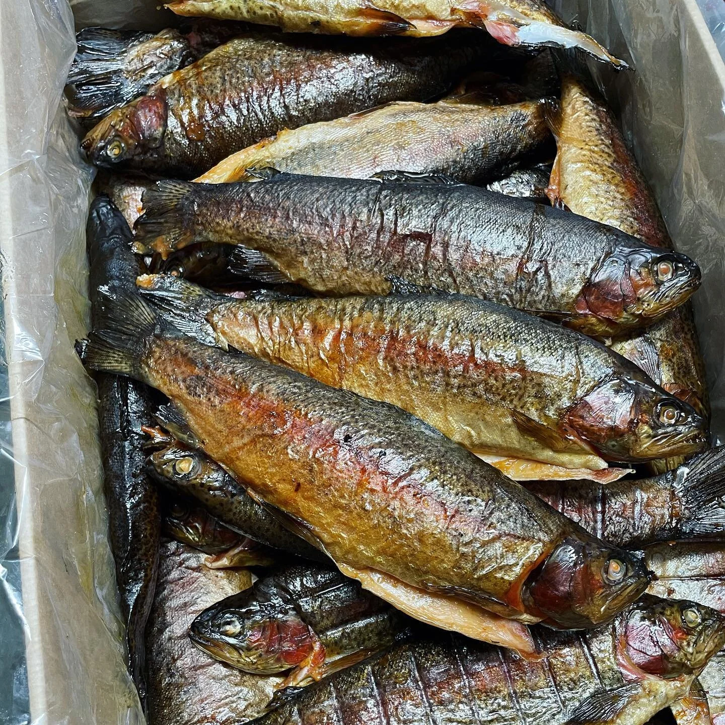 Other — Kyeema Seafoods