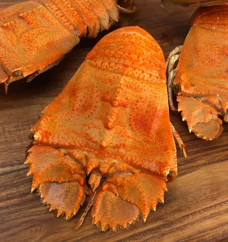 Moreton Bay Bugs — Kyeema Seafoods
