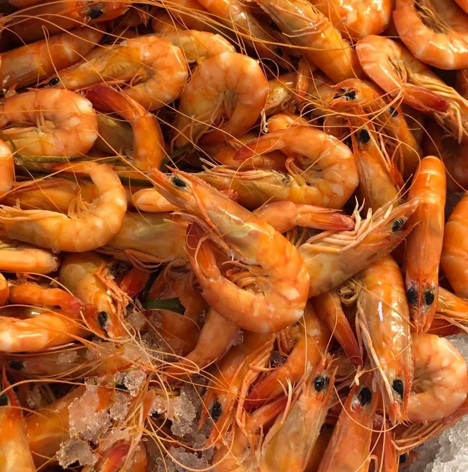 Prawns — Kyeema Seafoods