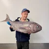 Blue Eye Trevalla — Kyeema Seafoods