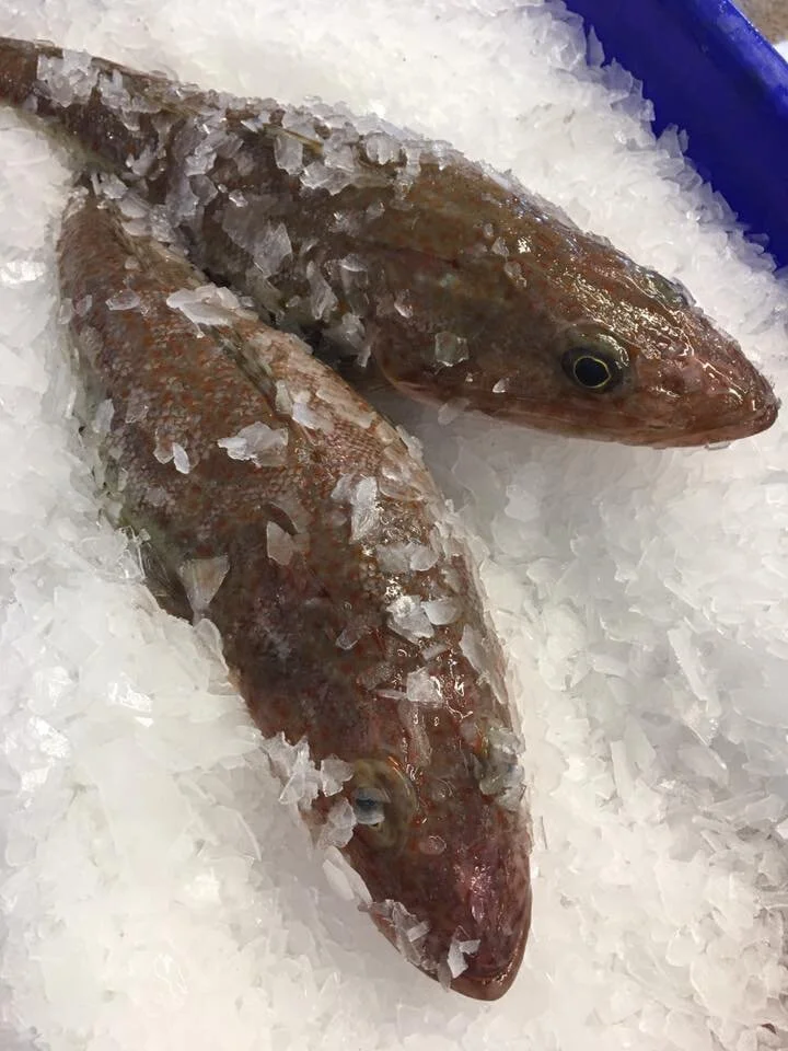 Flathead — Kyeema Seafoods