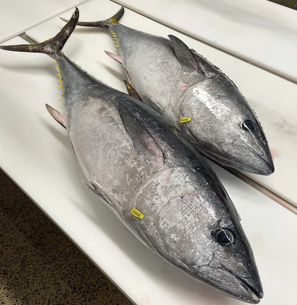 Scale Fish — Kyeema Seafoods