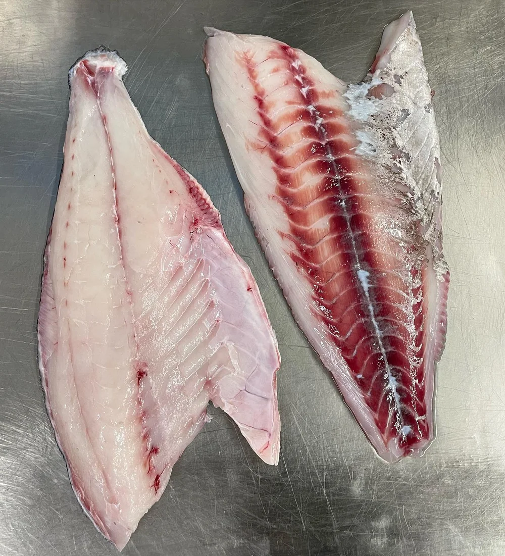 Blue Eye Trevalla — Kyeema Seafoods