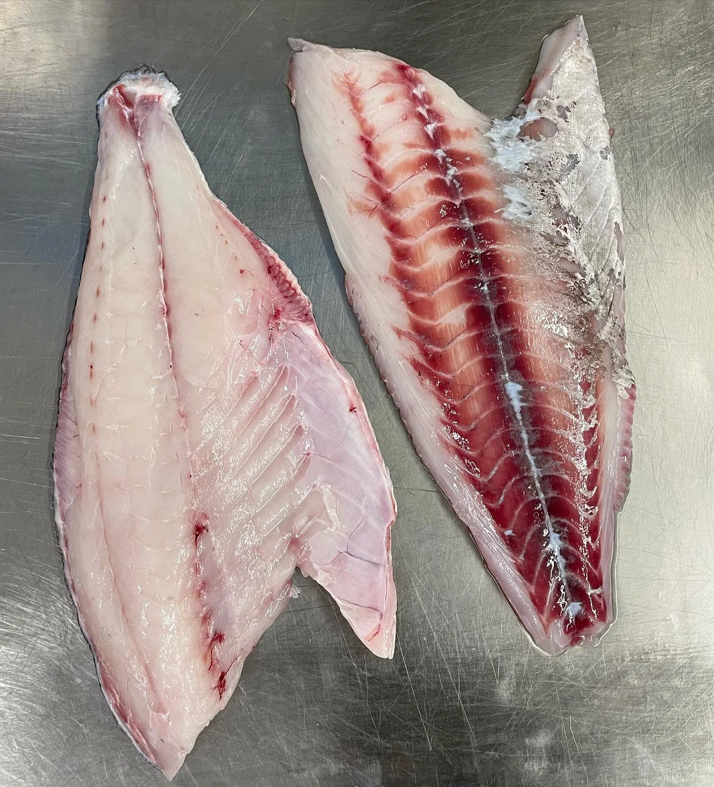 Blue Eye Trevalla — Kyeema Seafoods