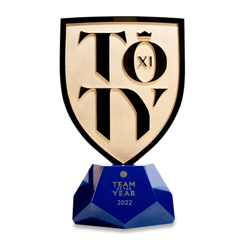 EA FIFA Team of the Year Awards | Custom Awards and Custom Trophies ...