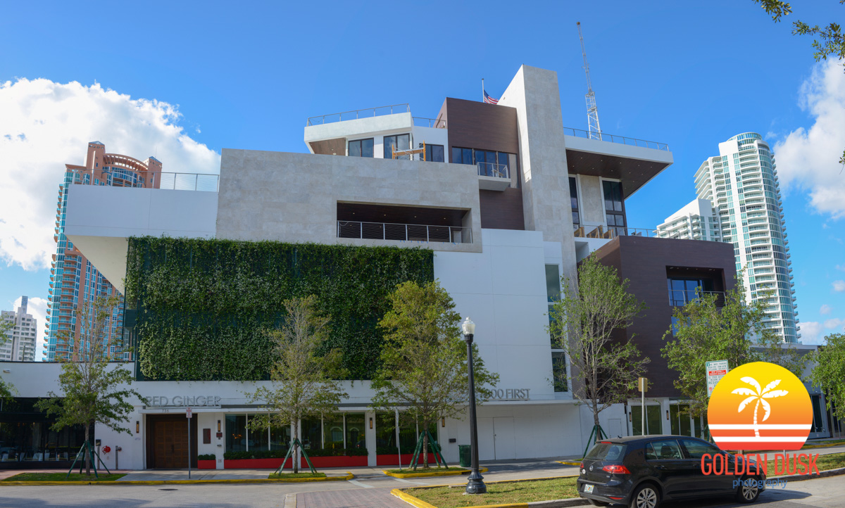 Russell Galbut's South of Fifth House Construction Photos — Golden Dusk ...