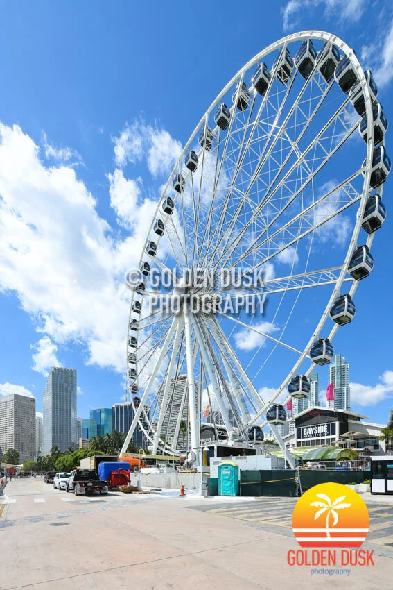 176 Foot Sky Views Miami Ferris Wheel To Open Soon — Golden Dusk ...