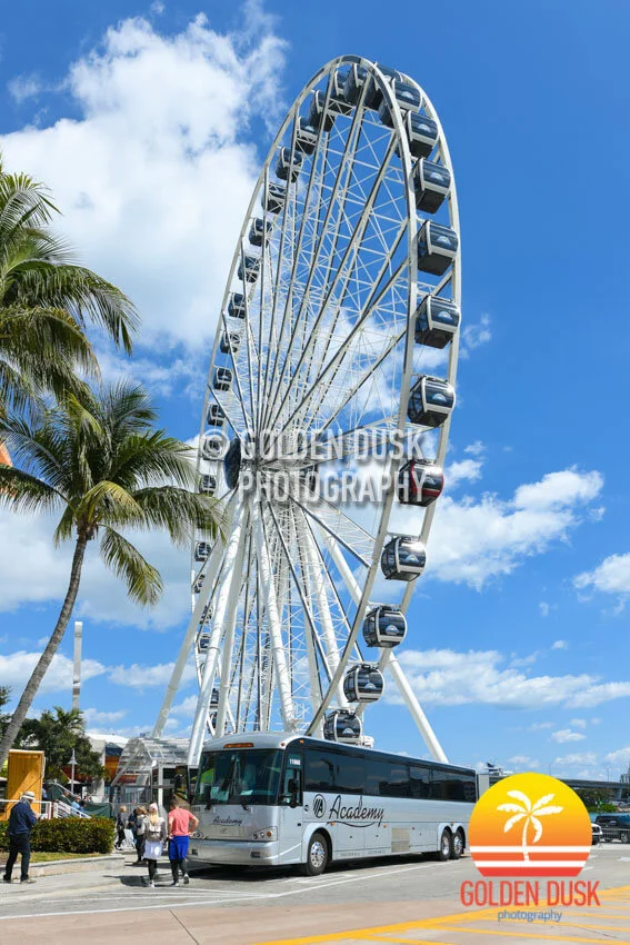 176 Foot Sky Views Miami Ferris Wheel To Open Soon — Golden Dusk ...