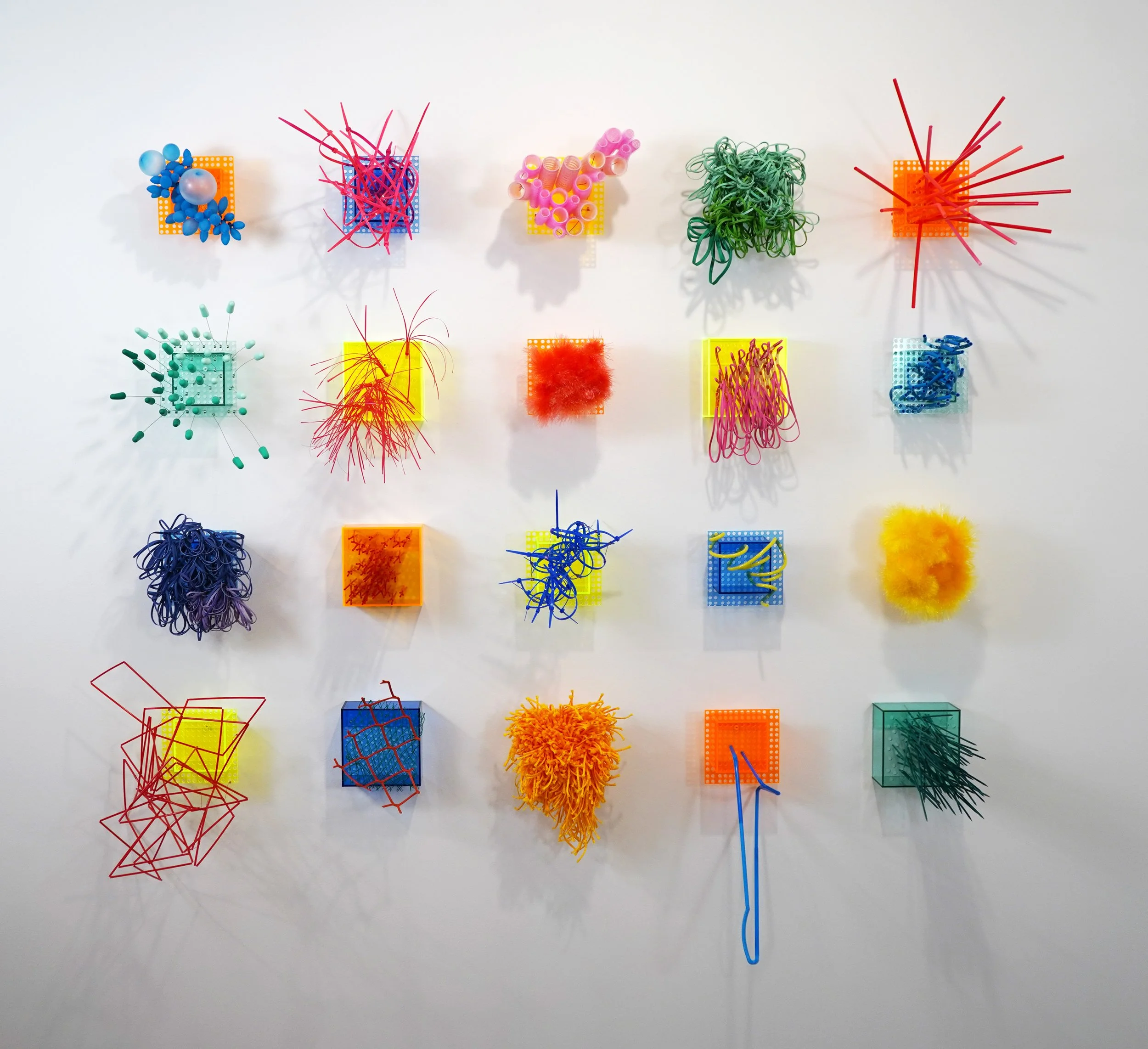 collected specimens — AMELIA KEY