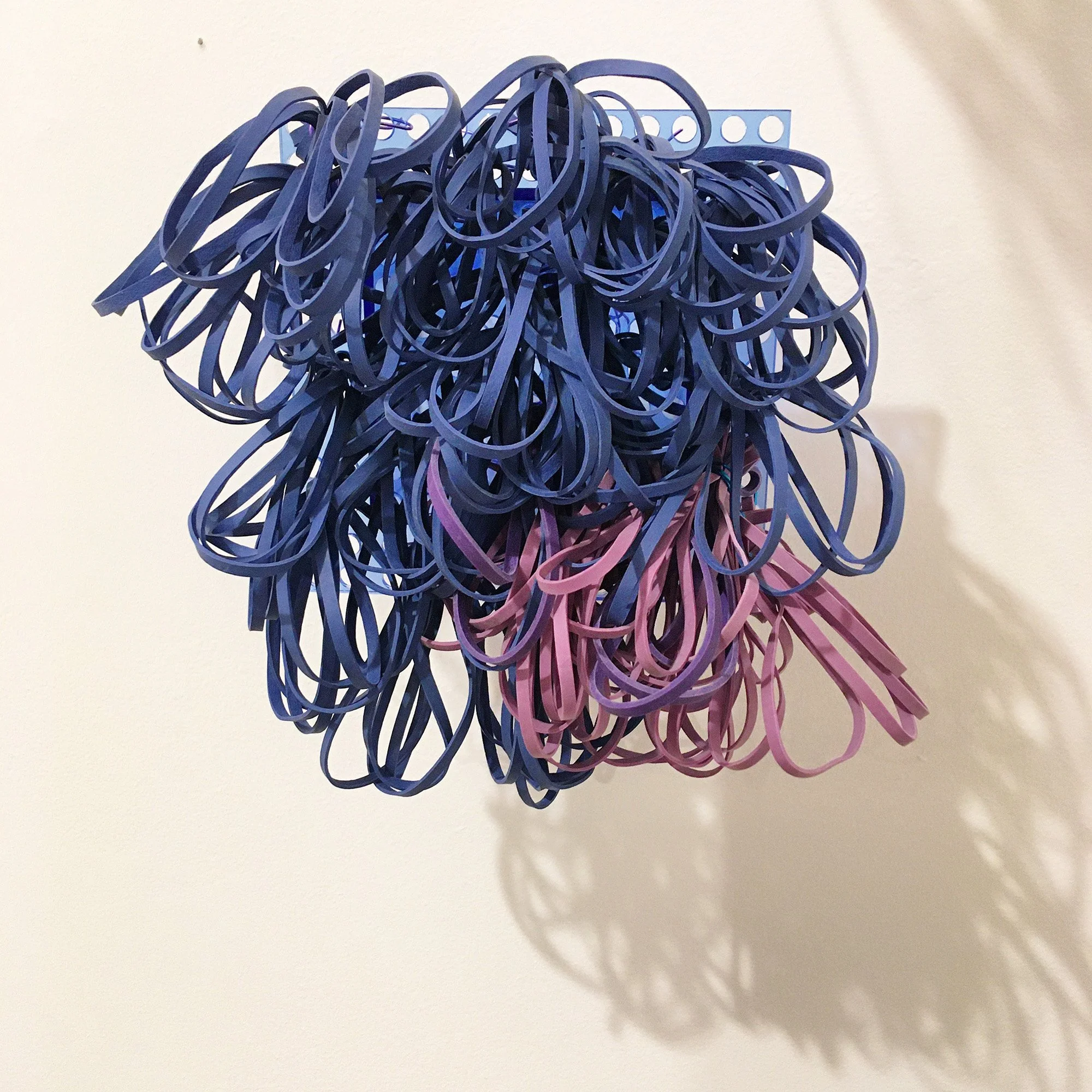 collected specimens — AMELIA KEY