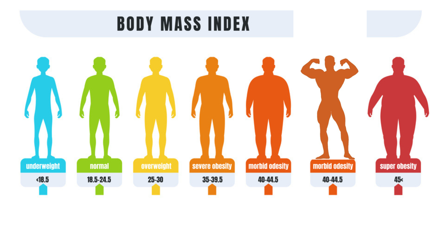 Waist-To-Height Ratio: An Easy Way To Determine Your Cardiometabolic ...