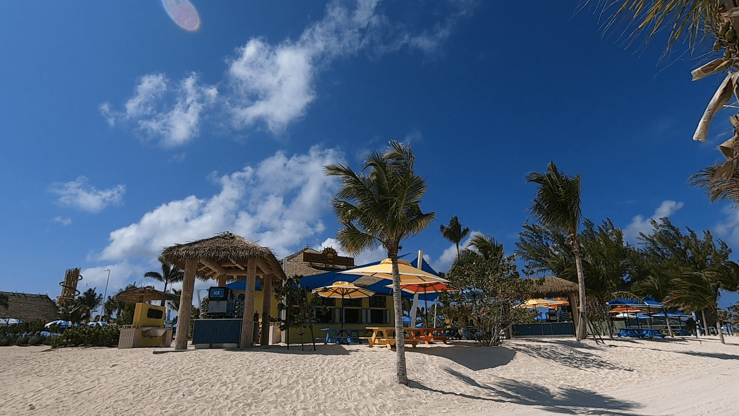 Local Food and Drink - Perfect Day at Coco Cay — Fun Ashore