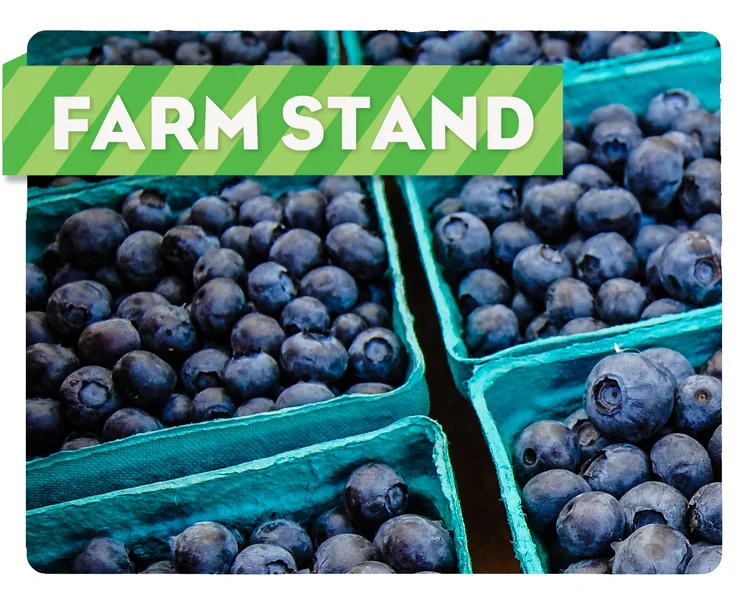 Minto Island Growers