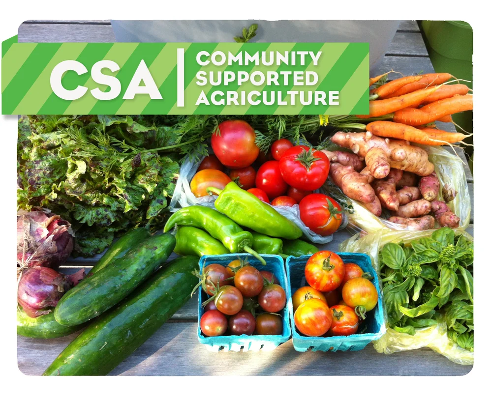 Minto Island Growers