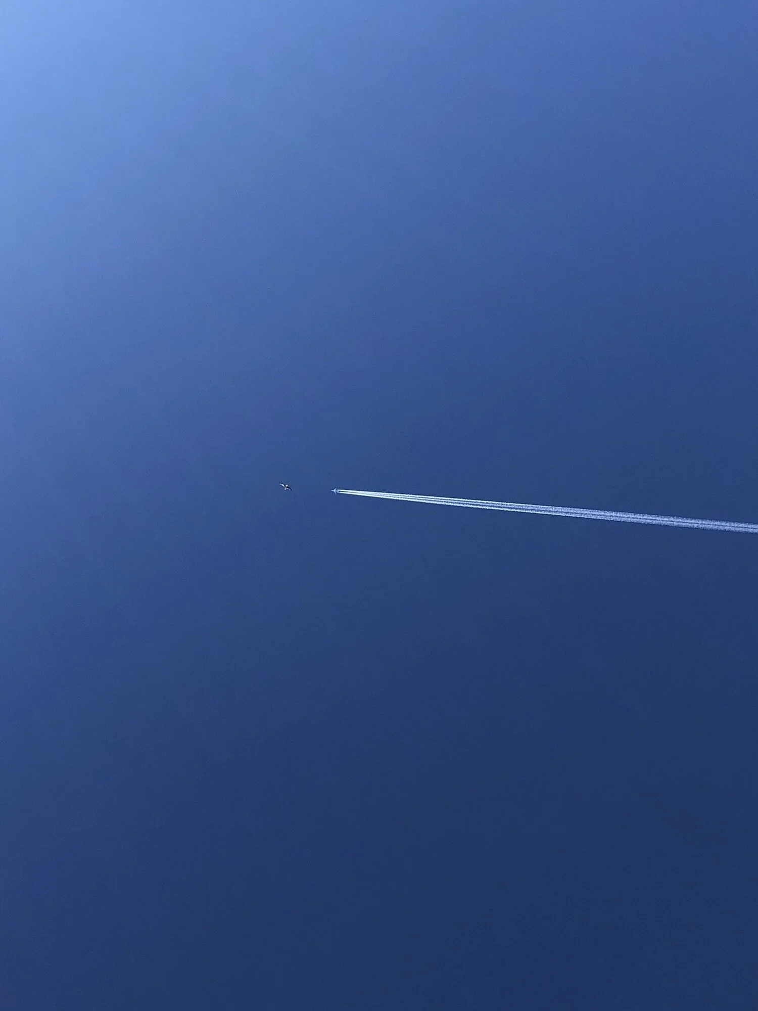 Five Things #191 — Ross Farley