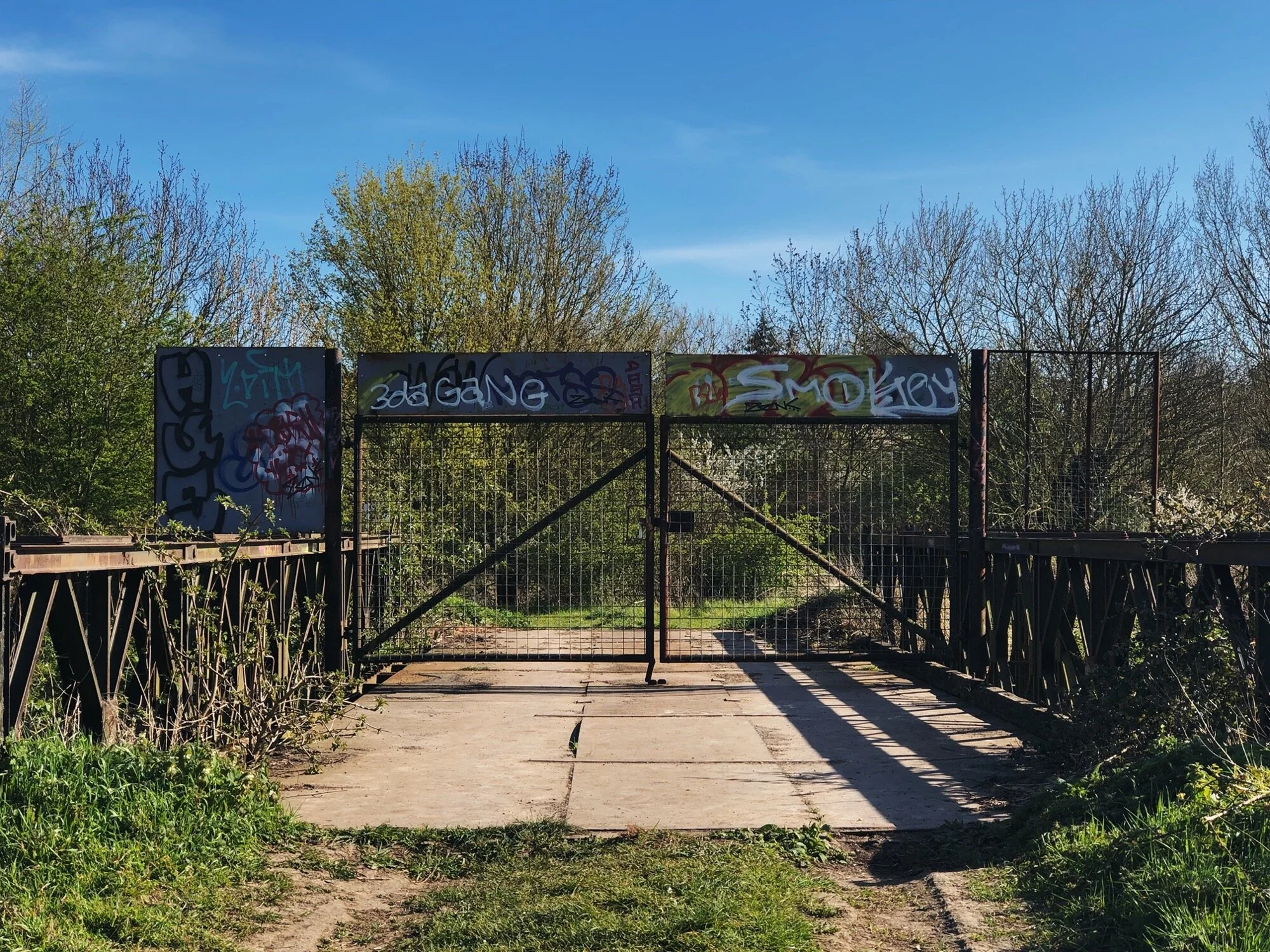 Five Things #193 — Ross Farley