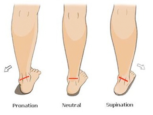 Don’t Tread on Me! Proper Shoes for the Recreational Runner — Whole ...